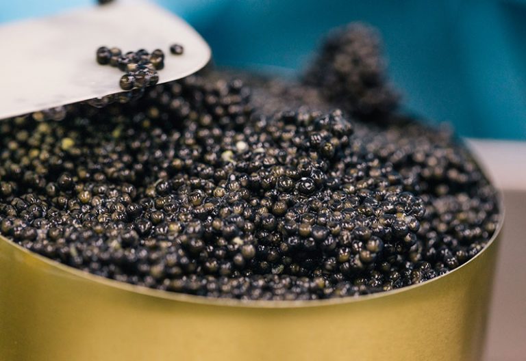 FirstClasse Malaysia | Luxury Lifestyle, Fashion, Travel, Dining & More